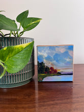 LAURA MILLER ARTIST